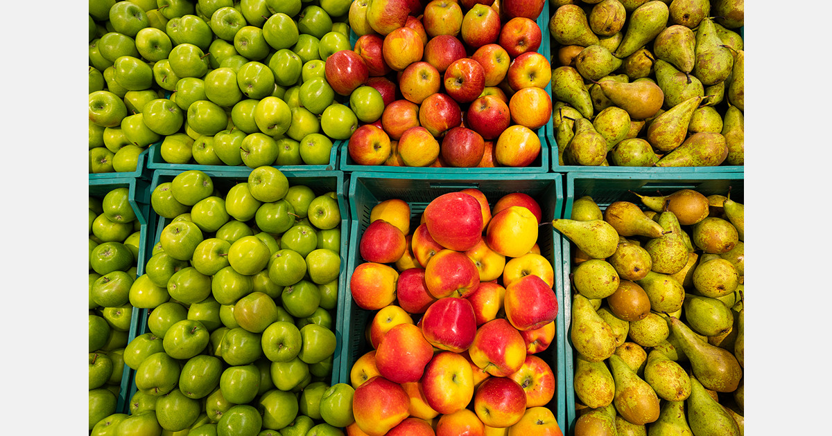 Uzbekistan's fruit and vegetable exports to Russia see significant rise