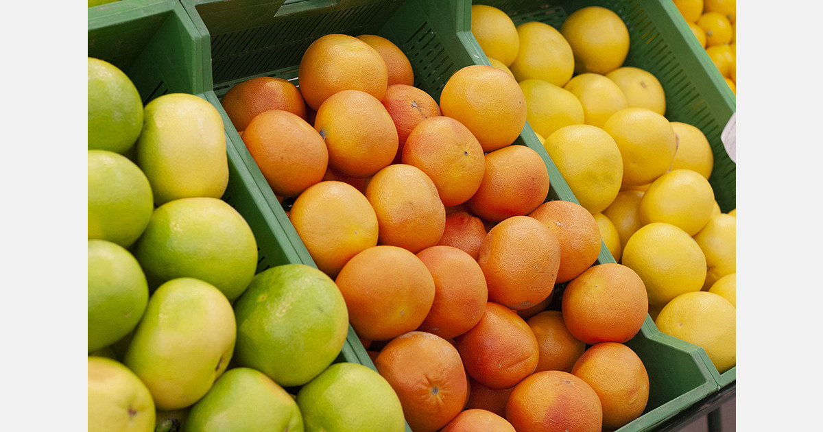 Kazakhstan boosts citrus imports from China
