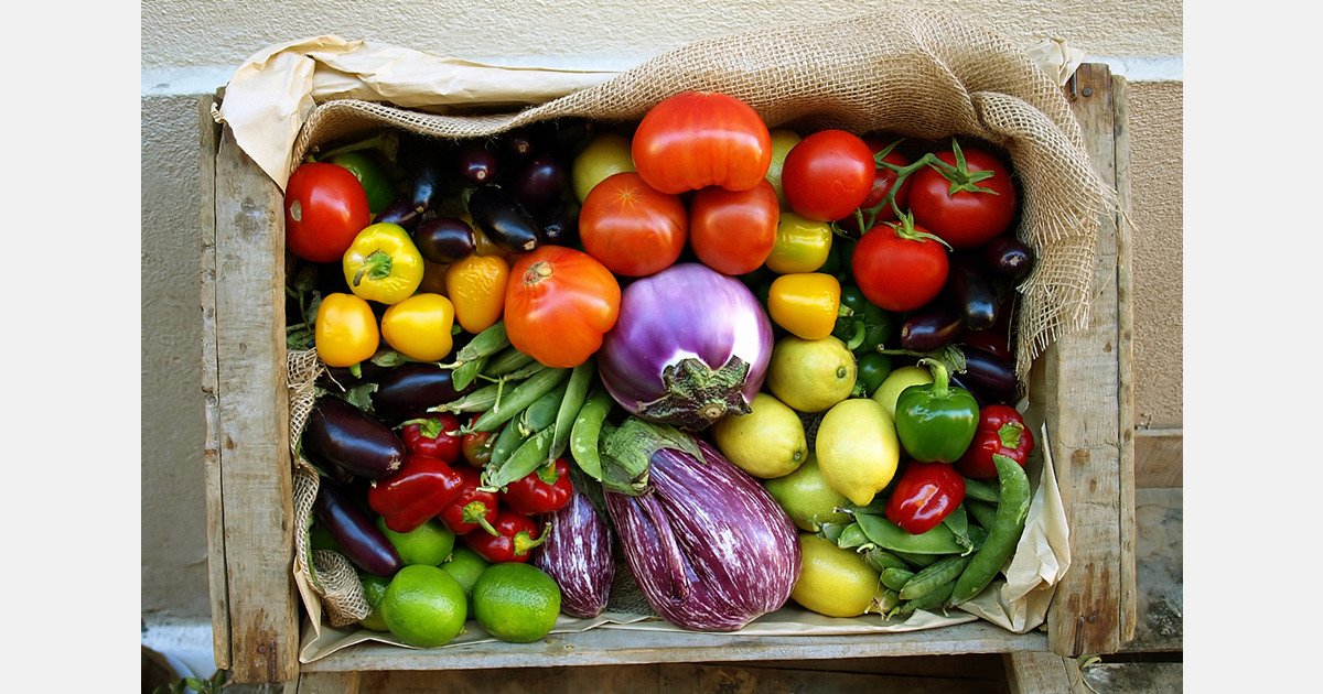 Kyrgyzstan boosts vegetable imports from Uzbekistan and China and halts ...