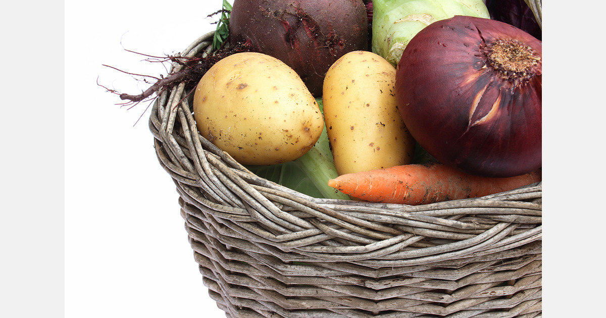 Ukraine’s imports of key vegetables surge in 2025