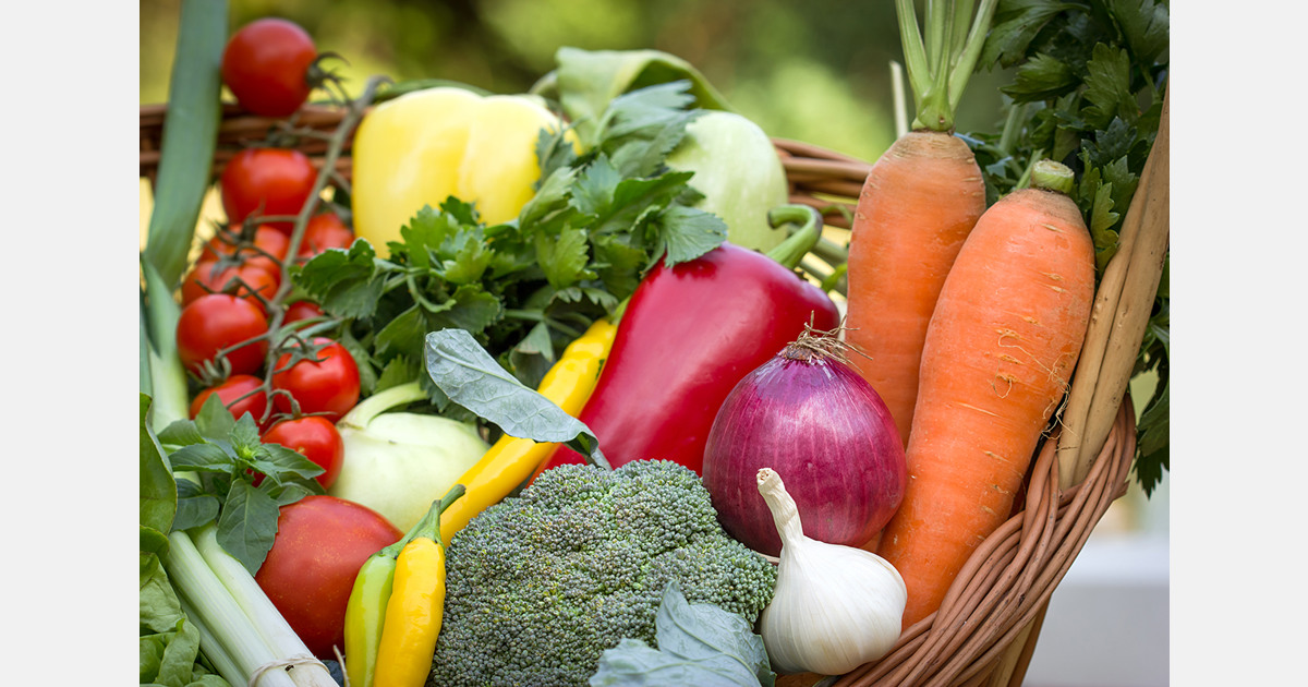 Butuan agriboost raises vegetable output by 88%