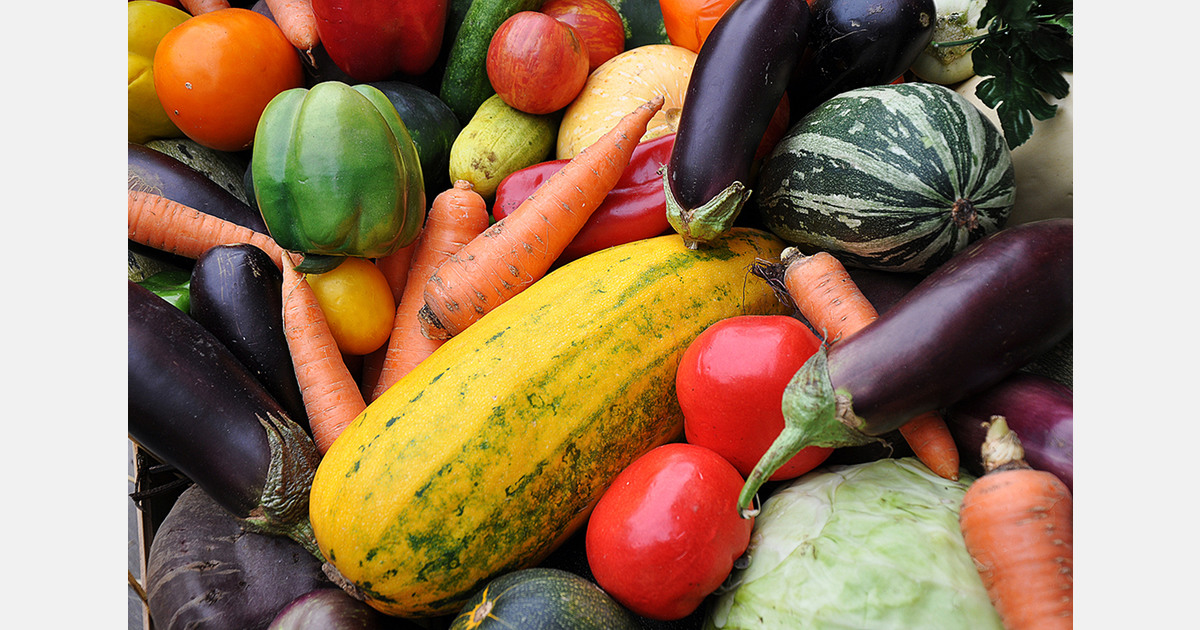 Kazakhstan’s fresh vegetable exports surge by 50% in 2024