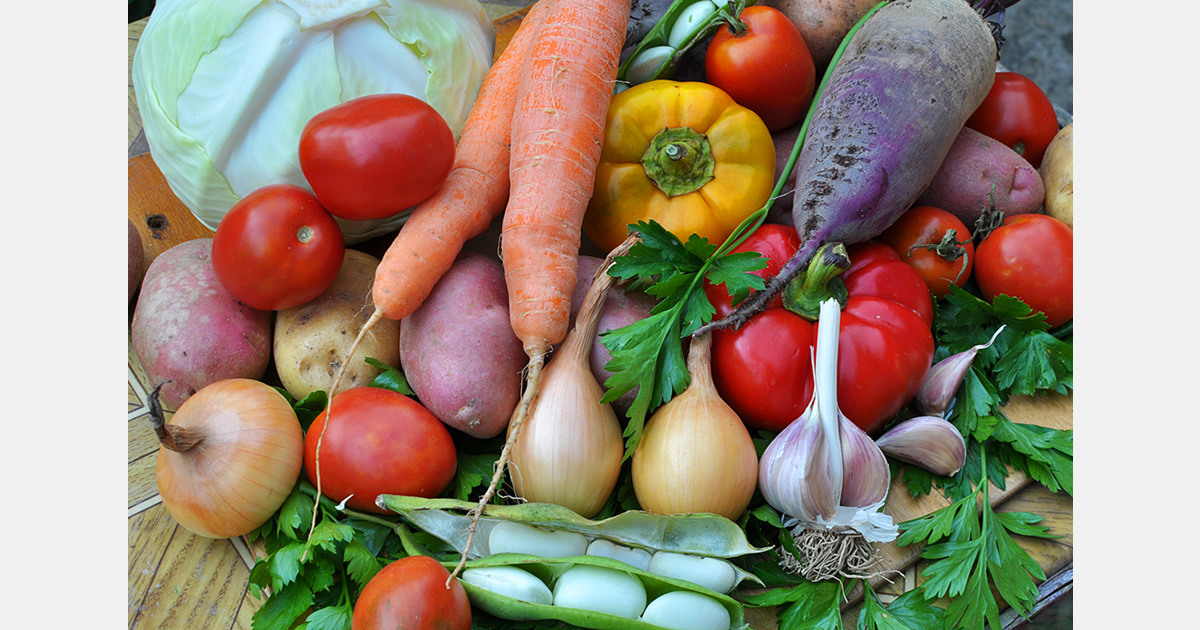 Farmers and small agricultural producers in Uzbekistan have increased ...