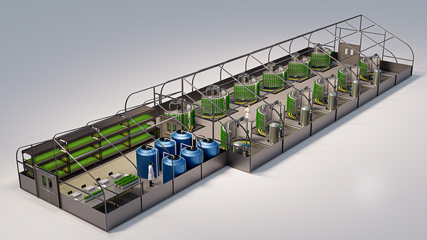 Canada: Underground farm in Quebéc to grow over 16 crops year-round