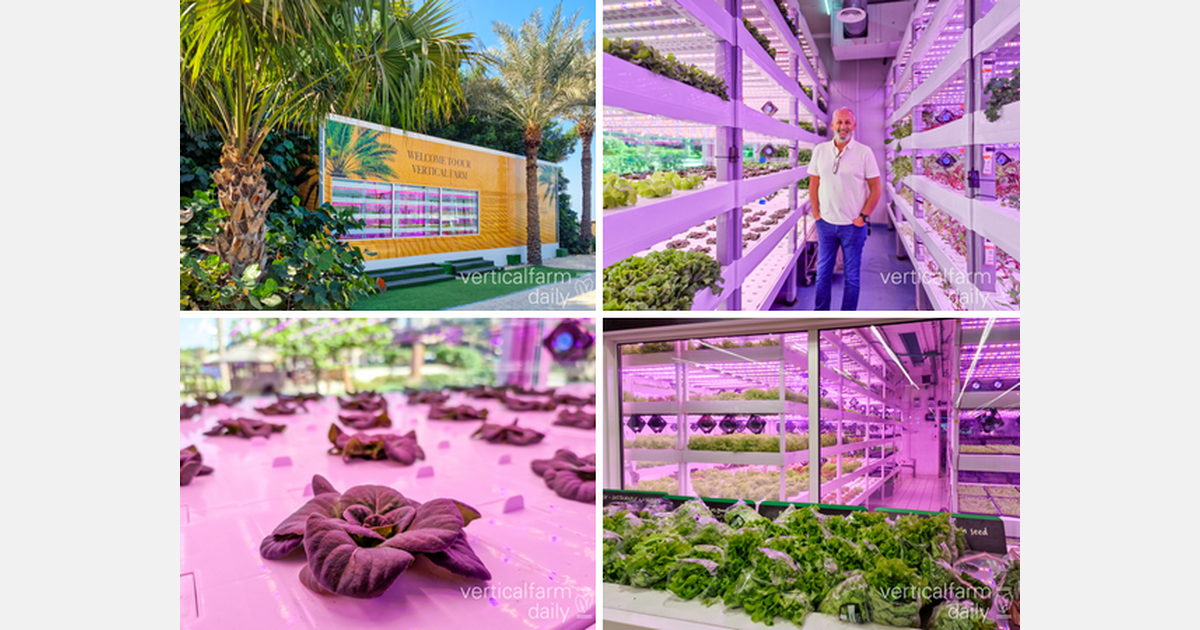 UAE: The rise of “Farming as a Service”