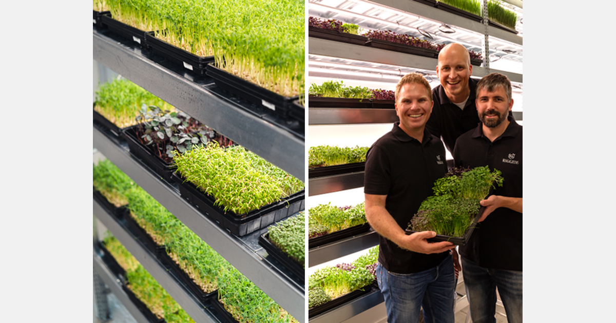 Germany: Inspiring microgreens production in Munich and beyond