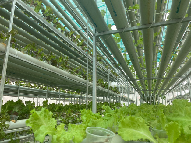 Kathmandu: "Hybrid farm model ideal for low-income regions"