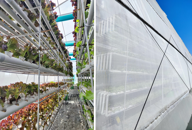 Kathmandu: "Hybrid farm model ideal for low-income regions"