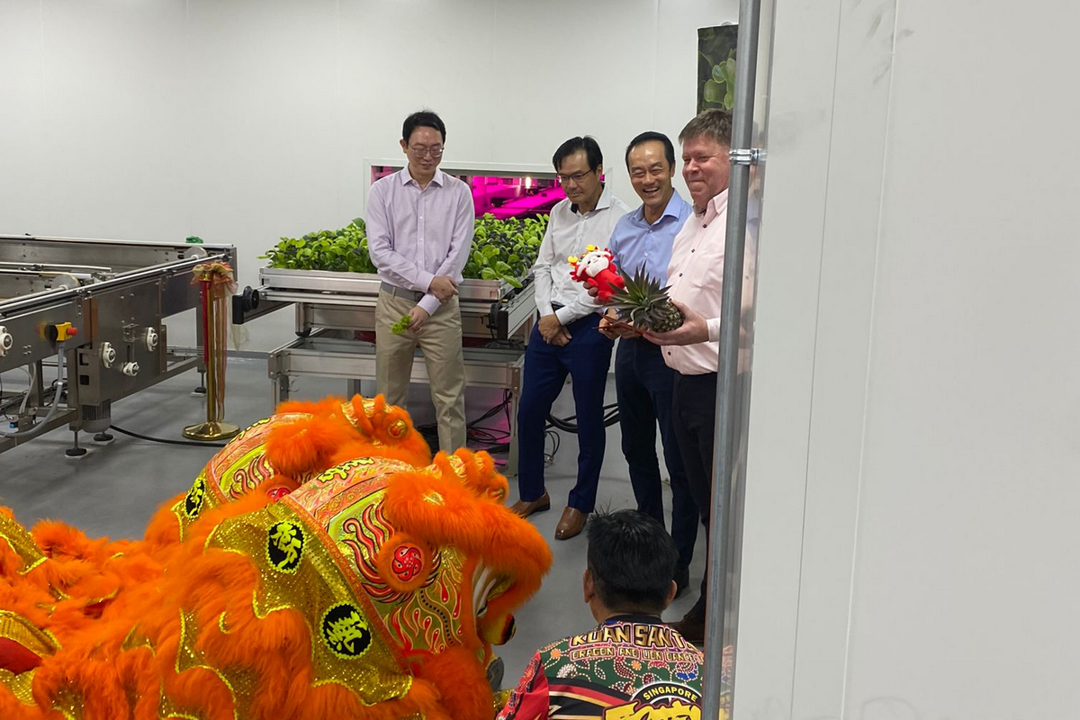 Growy officially opens its Singapore vertical farm