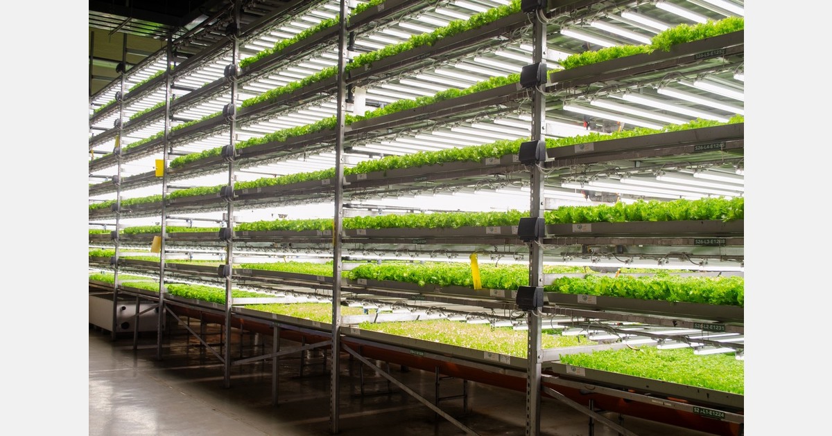 "Our goal is to revolutionize food production by making sustainable ...