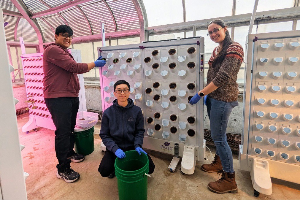 “Modular vertical farming systems like the Harvest Wall can make ...