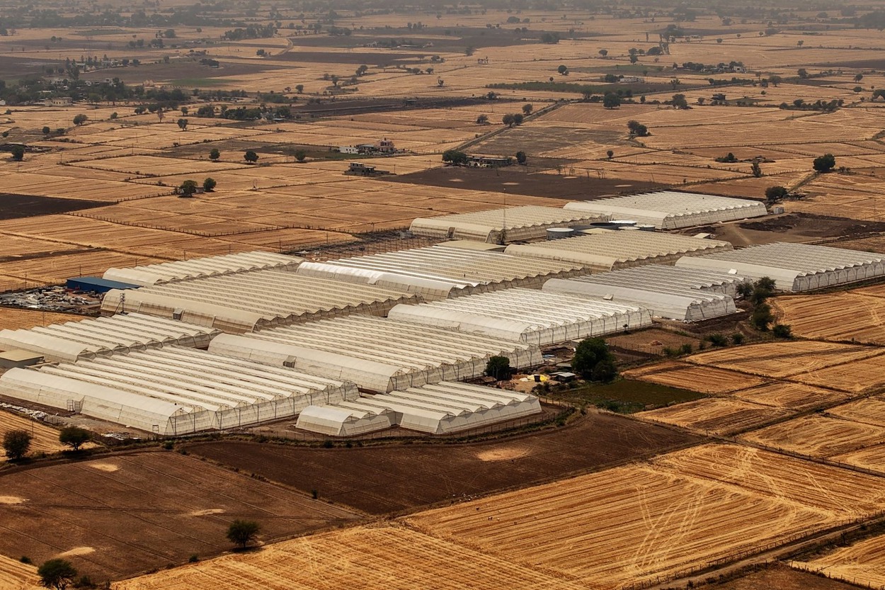 Eeki raises $7 million to expand aeroponic production in India