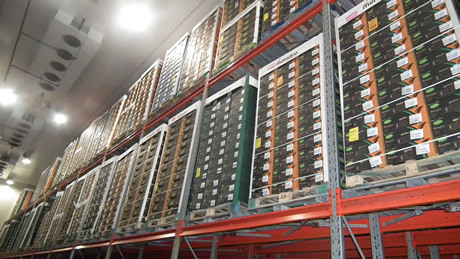 Trade mission Israel visited Mehadrin