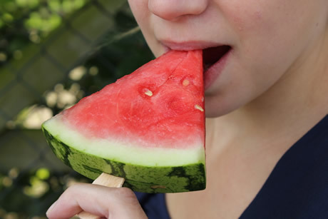 France: Fruity-Line supply Watermelon-Lolly's to Mc Donald's