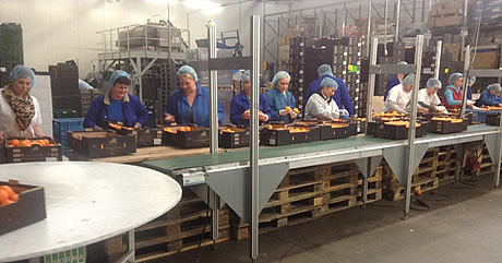 Europe Retail Packing along with small packs big in repacking