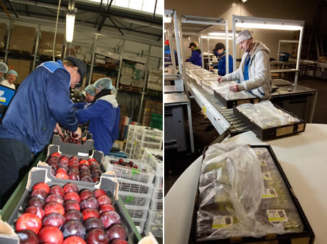 Europe Retail Packing along with small packs big in repacking