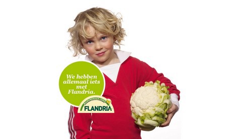 Flandria has 20 year anniversary