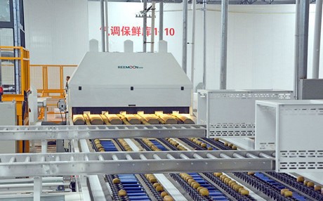 "Reemoon: "International expansion after strong domestic growth"