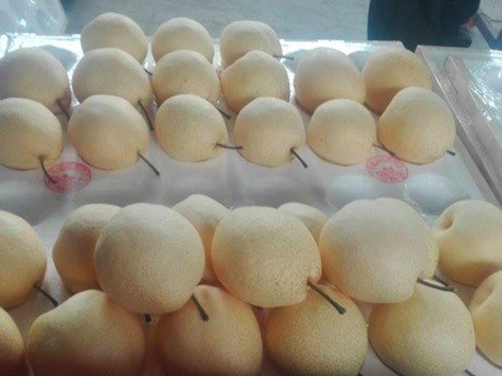 High-altitude Chinese Su pear available all year around