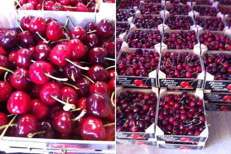 "Spain: "Asia is the most interesting market for European cherries"