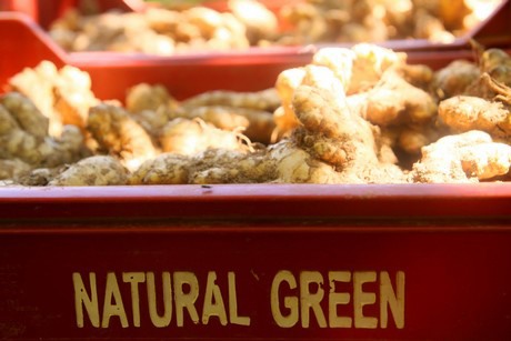 "Peruvian ginger is 100% sustainable"