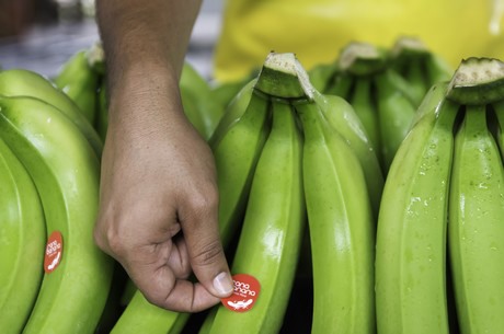Good year for Costa Rican bananas
