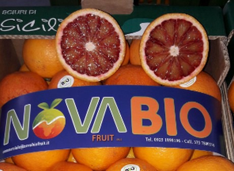 Catania's Moro orange production down 60% this year