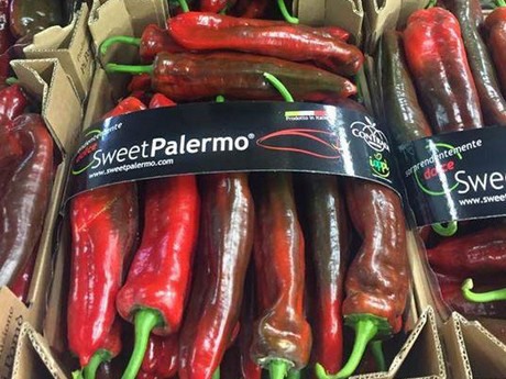 Italy: Sweet snacks sector, a good market for Sweet Palermo®