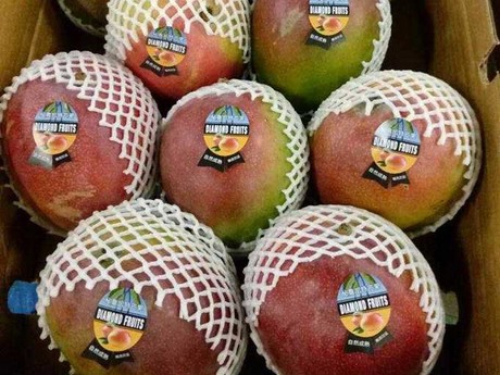 "Peru: "Our mangoes shipped by air are the first to reach China"