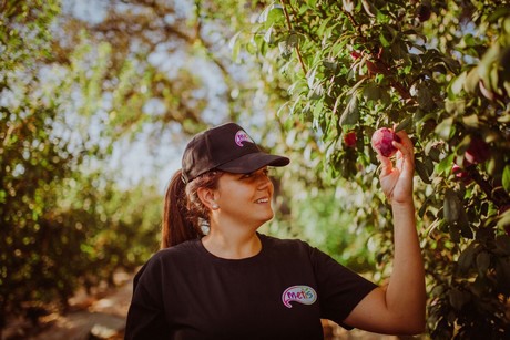 "Special plum Metis® completes our range and expands the season"