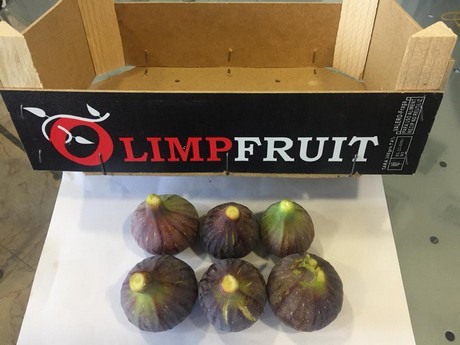 "We want figs to be one of our flagship products"