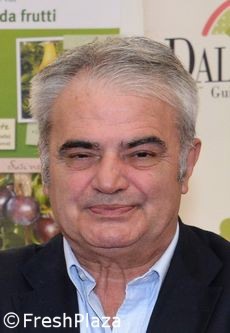 High hopes for early summer fruit across Italy