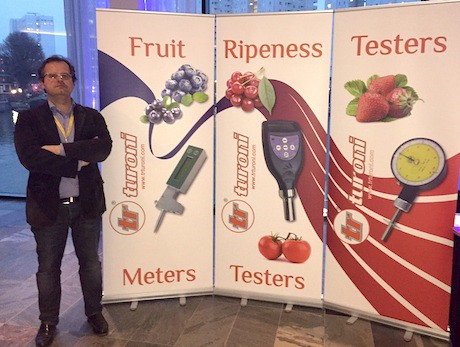 Italy: Leading companies in the soft fruit sector