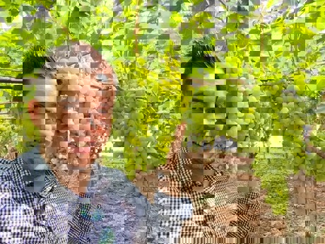 Alice - a new brand for Bellassai