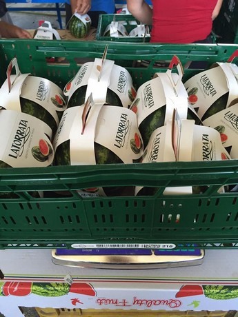 People love the new packaging of mini-watermelons