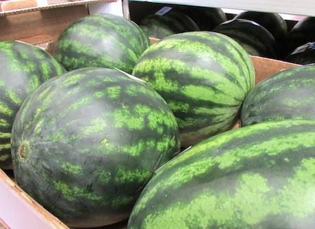People love the new packaging of mini-watermelons
