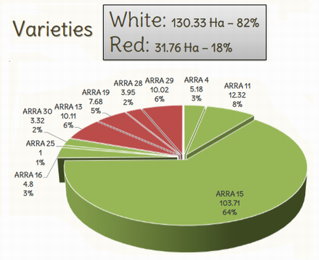 ARRA seedless grapes increasingly popular