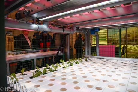 "Cubic plant farms provide serious solution for local food demand"